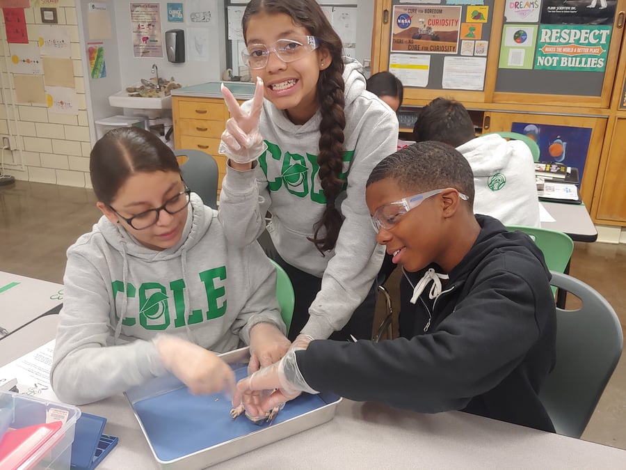 A Look Inside a Middle School Science Classroom