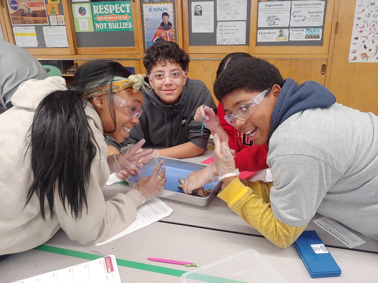A Look Inside a Middle School Science Classroom