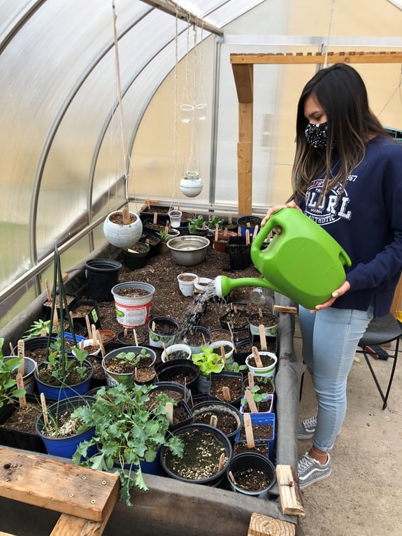 DSST celebrates Earth Month