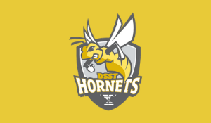 DSST BLOG | News, Updates, & Events